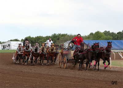 Goin’ Colonial in Lloyd | FestivalSeekers