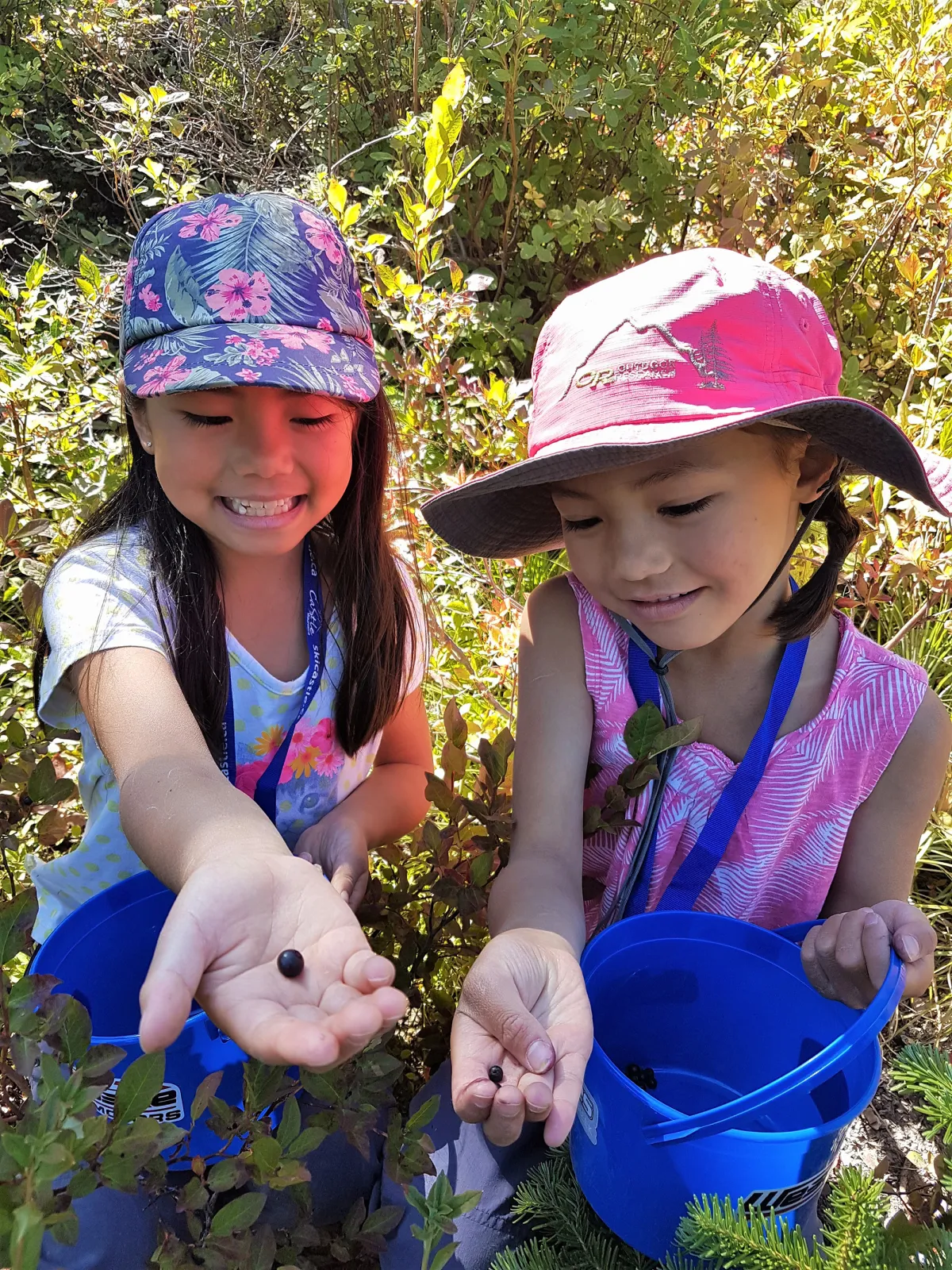 Making memories at Castle Mountain’s Huckleberry Festival | FestivalSeekers
