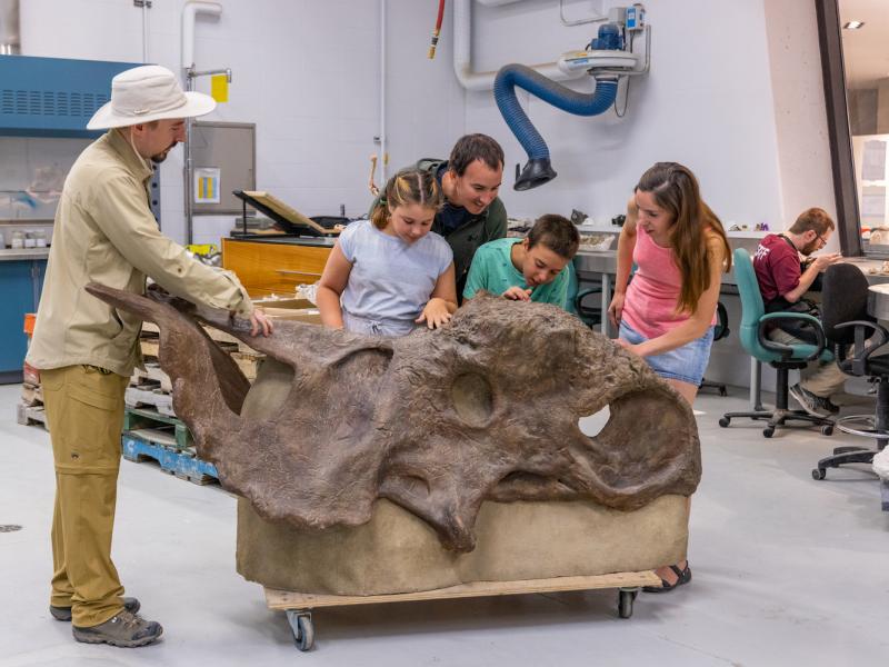 Palaeo Palooza | FestivalSeekers